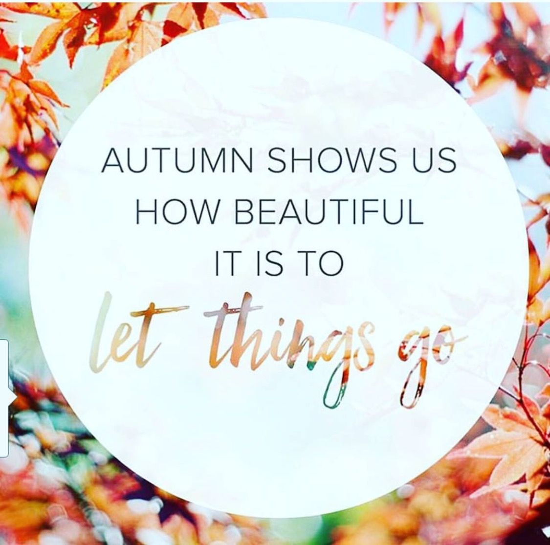 【How Beautiful It Is】 - 英华网